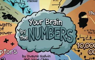 Your Brain by the Numbers – Engage Their Minds