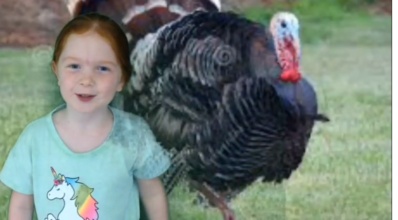 You Just Won a Trip to Turkey! – Engage Their Minds